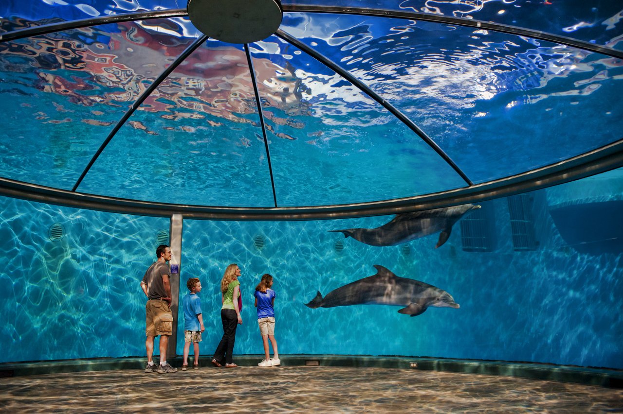 Indianapolis Zoo - Discover White River