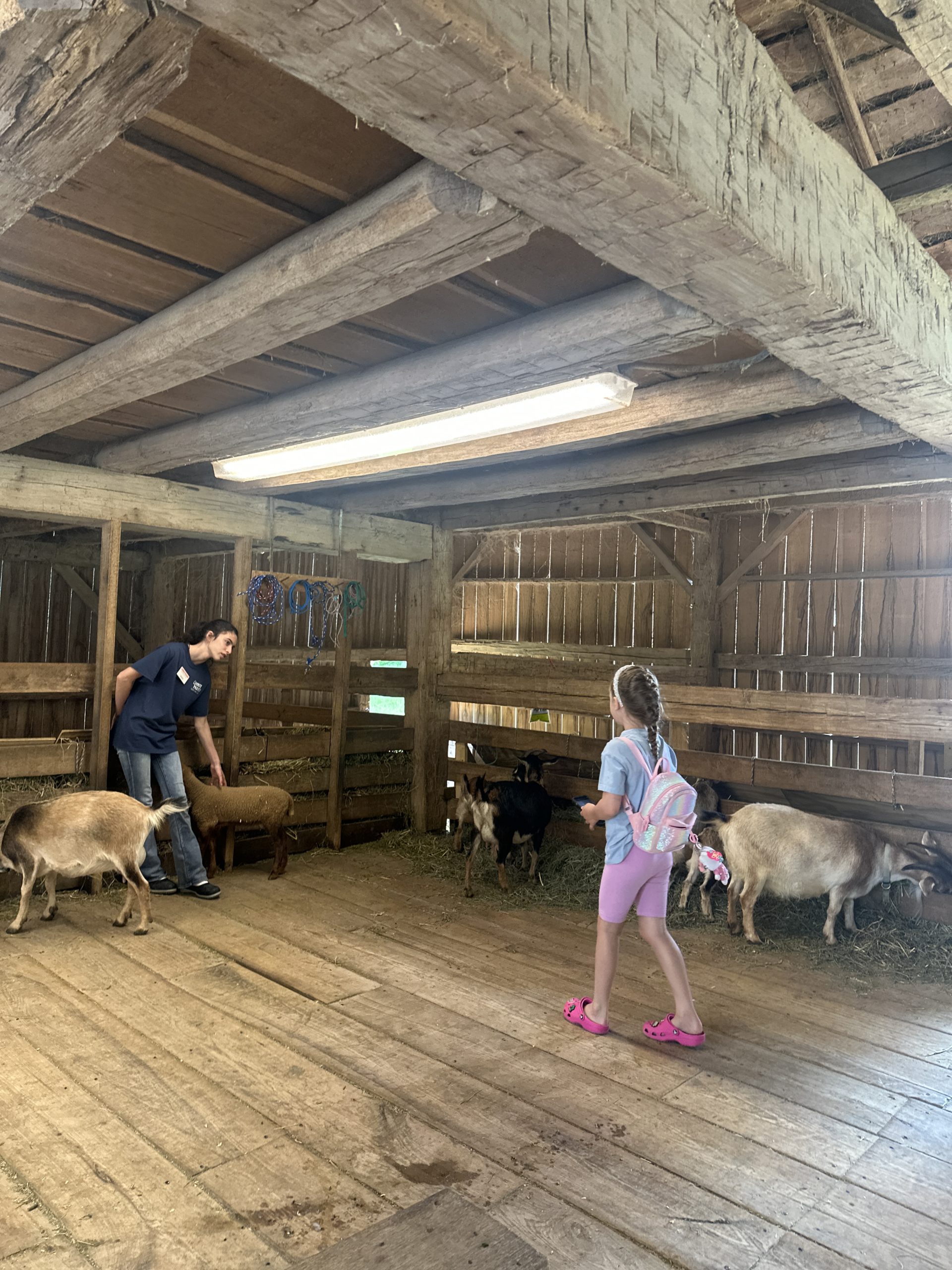 Flowing Through Time: Conner Prairie and the White Riverway Connection ...